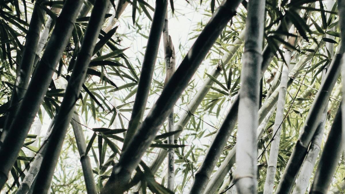 15. February 2024 · 2 min reading time